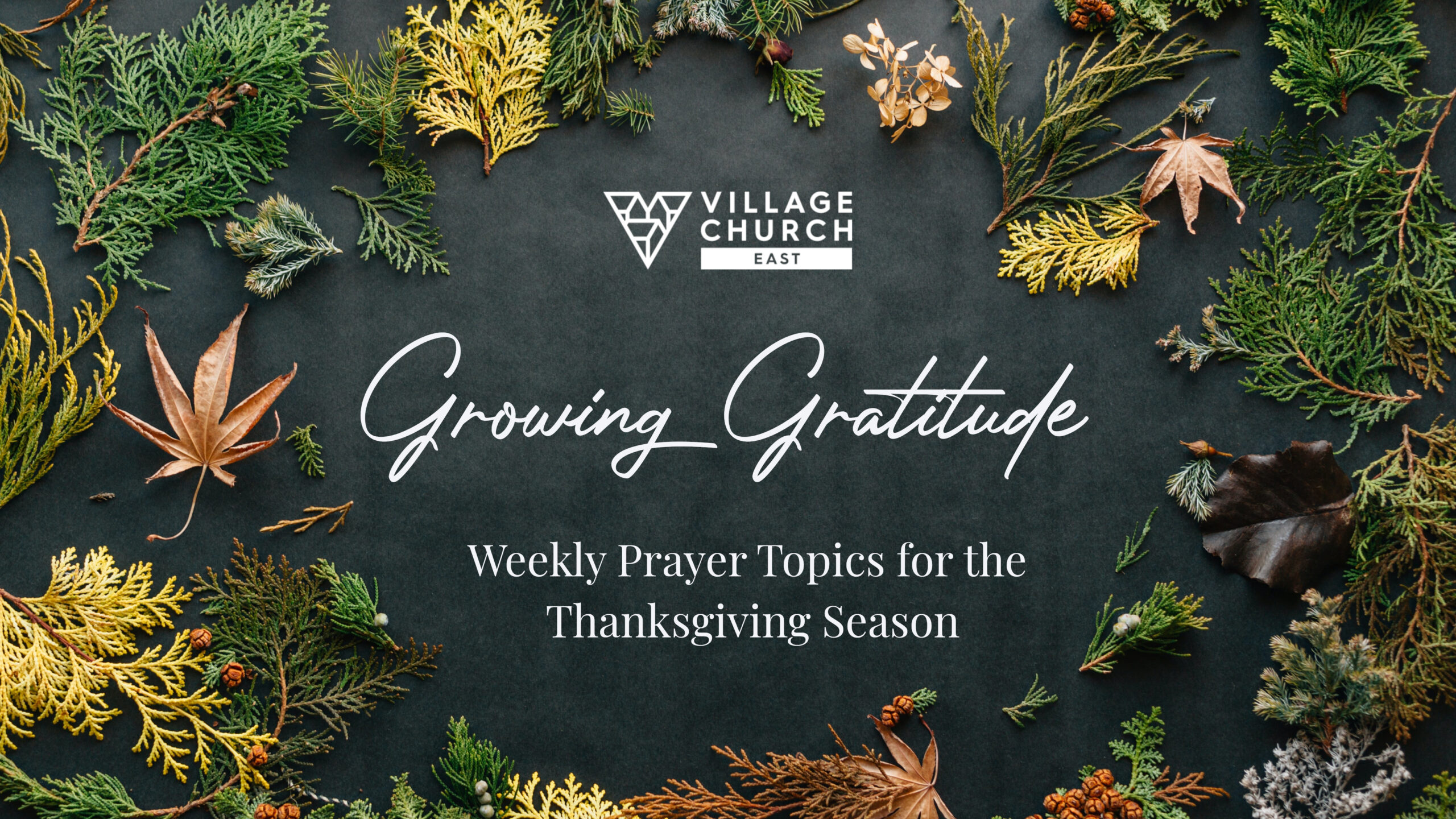 Growing Gratitude - Village Church East